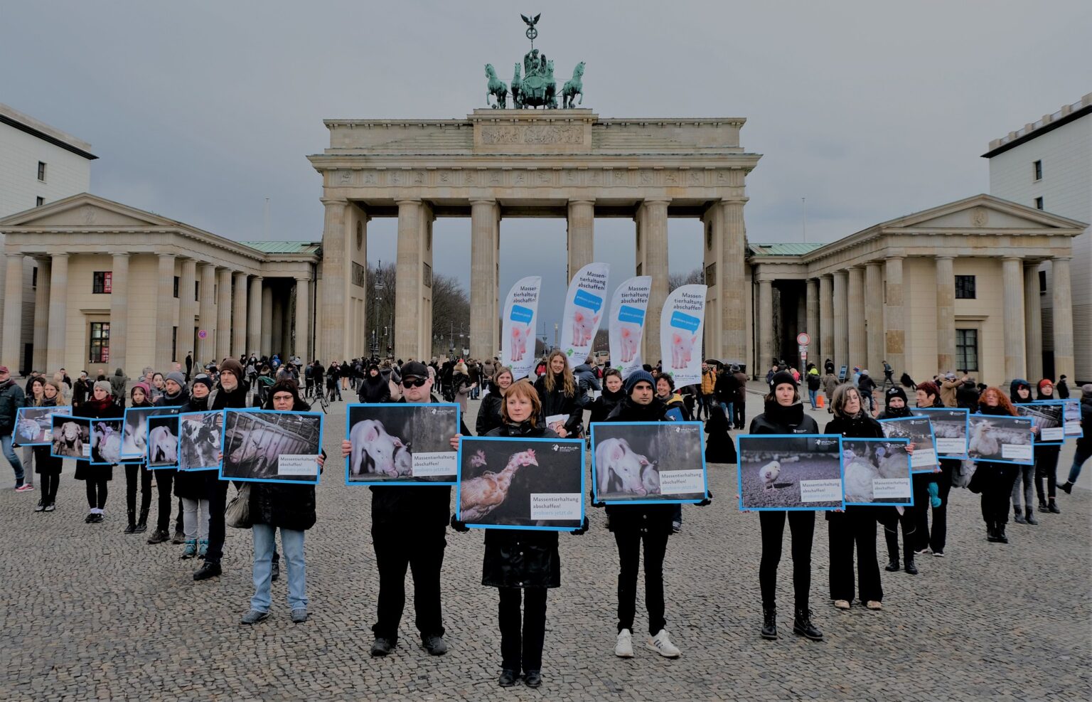 Engagement für unsere Mitwelt. | PURE & POSITIVE